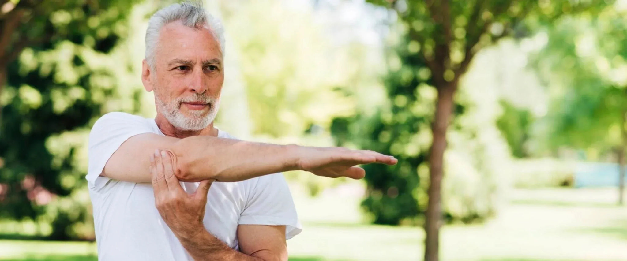 Understanding Ca-AKG, NMN, and Senolytics for Muscle Ageing