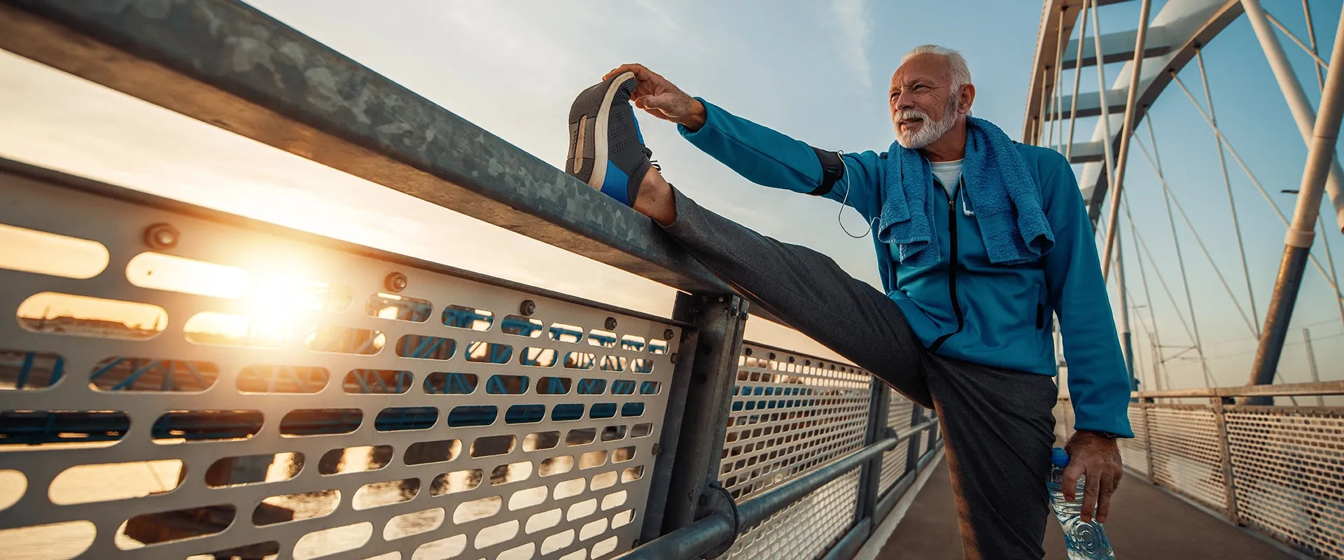 Understanding The Impact of the Immune System on Aging