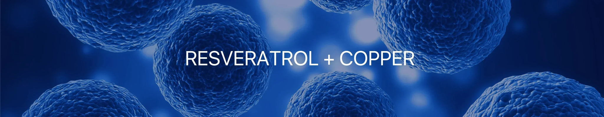 Can Resveratrol and Copper aid in Cancer Treatment?